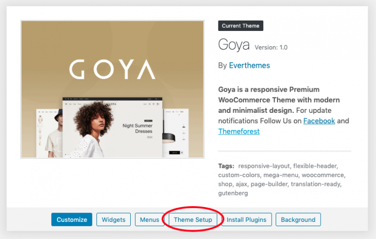 Installation & Setup – Goya